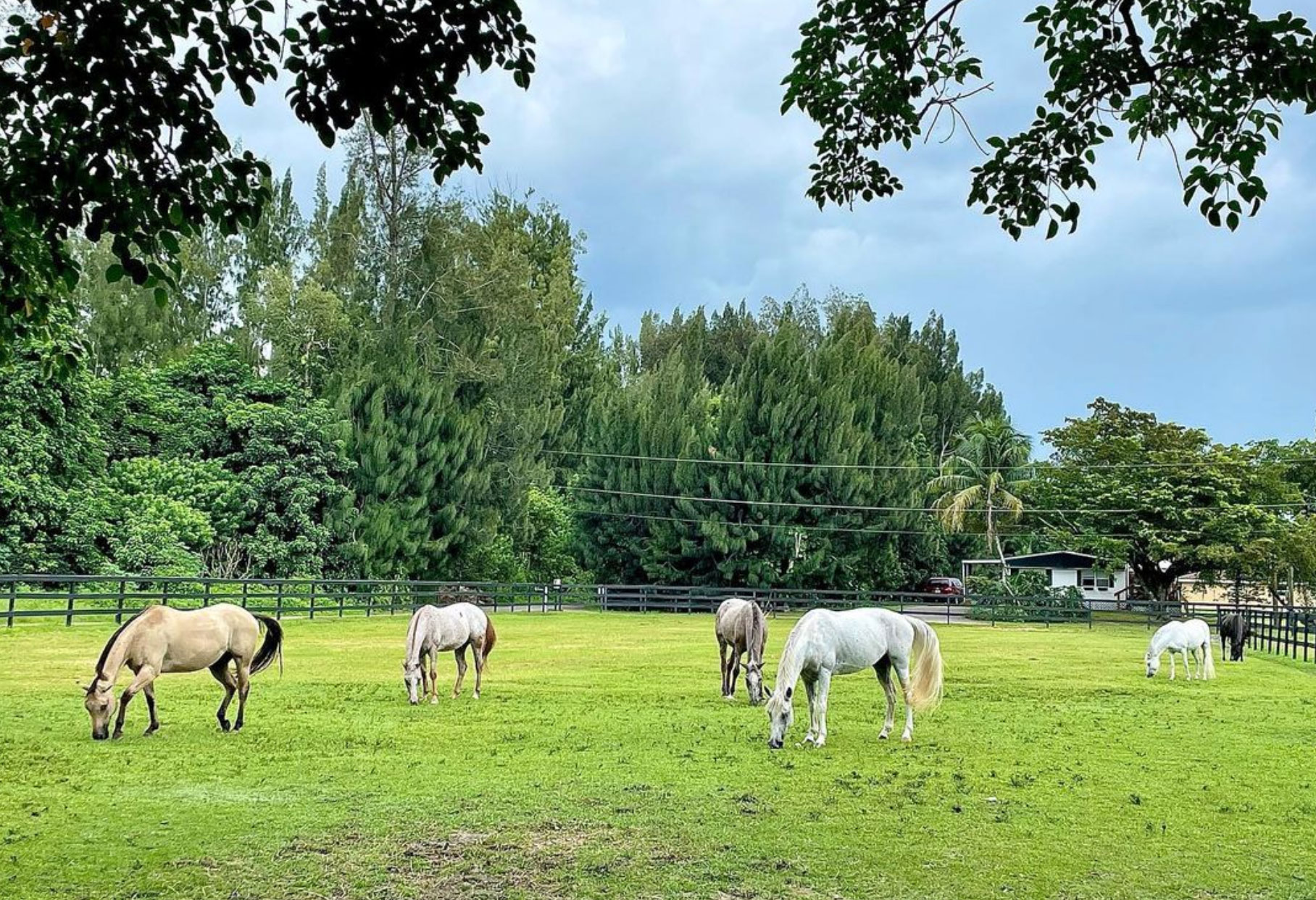 Myrland Stables - Great Locations