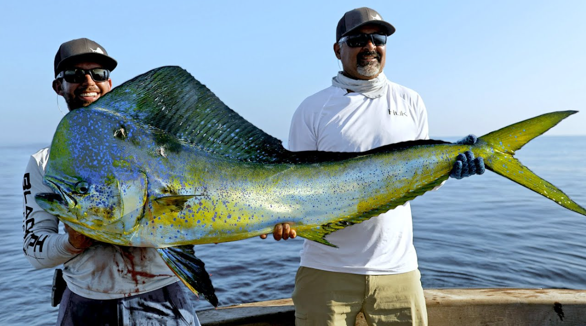 Best Fish to Catch in South Florida: Where and When to Cast Your Line ...