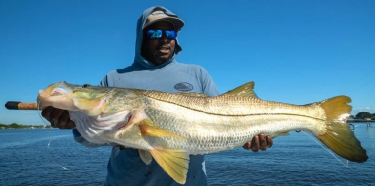 Best Fish to Catch in South Florida: Where and When to Cast Your Line ...