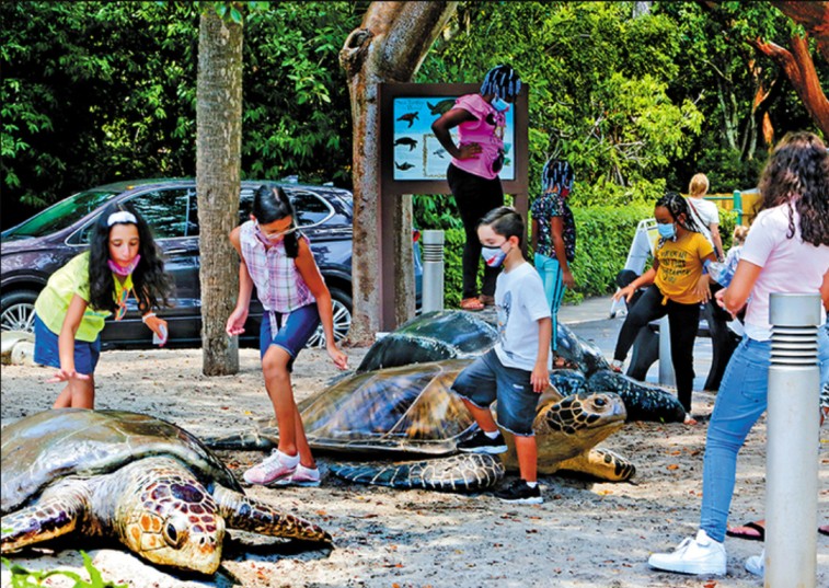 Things to Do in Boca Raton This Summer - Local's Guide